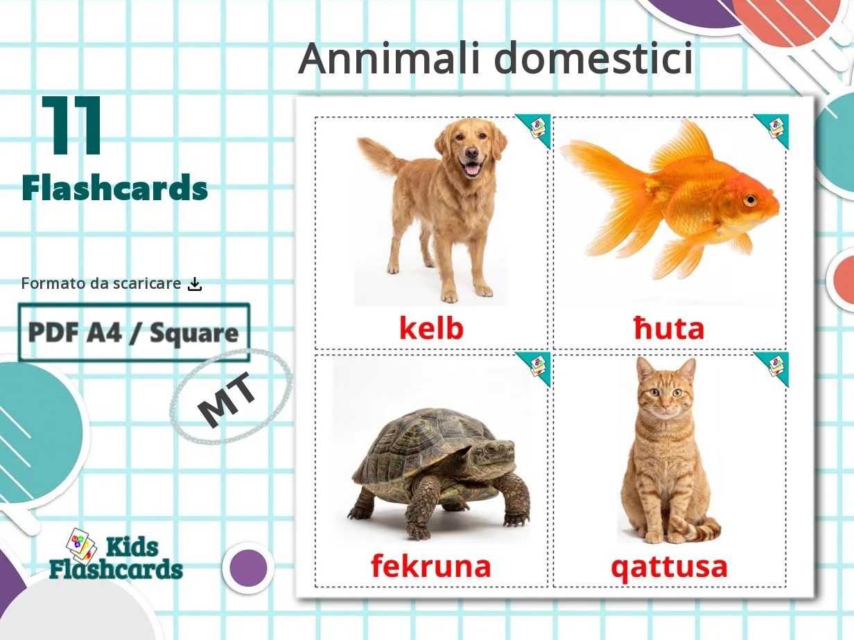11 Flashcard GRATUITE sui Animali Domestici in 4 Formati PDF | Immagini ...