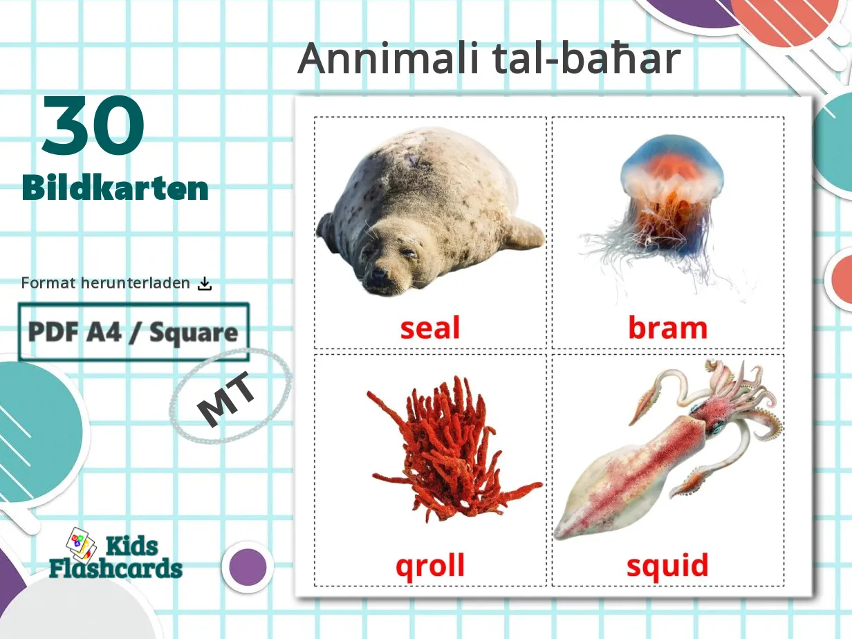 30 Meerestiere Bildkarten in PDF | Maltesisch Bilder
