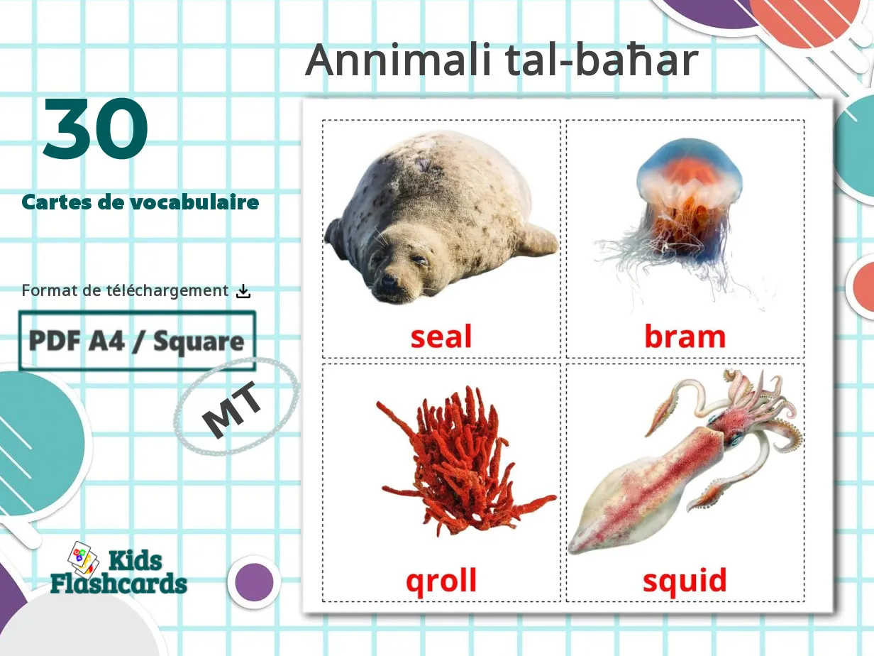 30 Cartes Nomenclature Montessori Les Animaux Marins GRATUIT à Imprimer ...