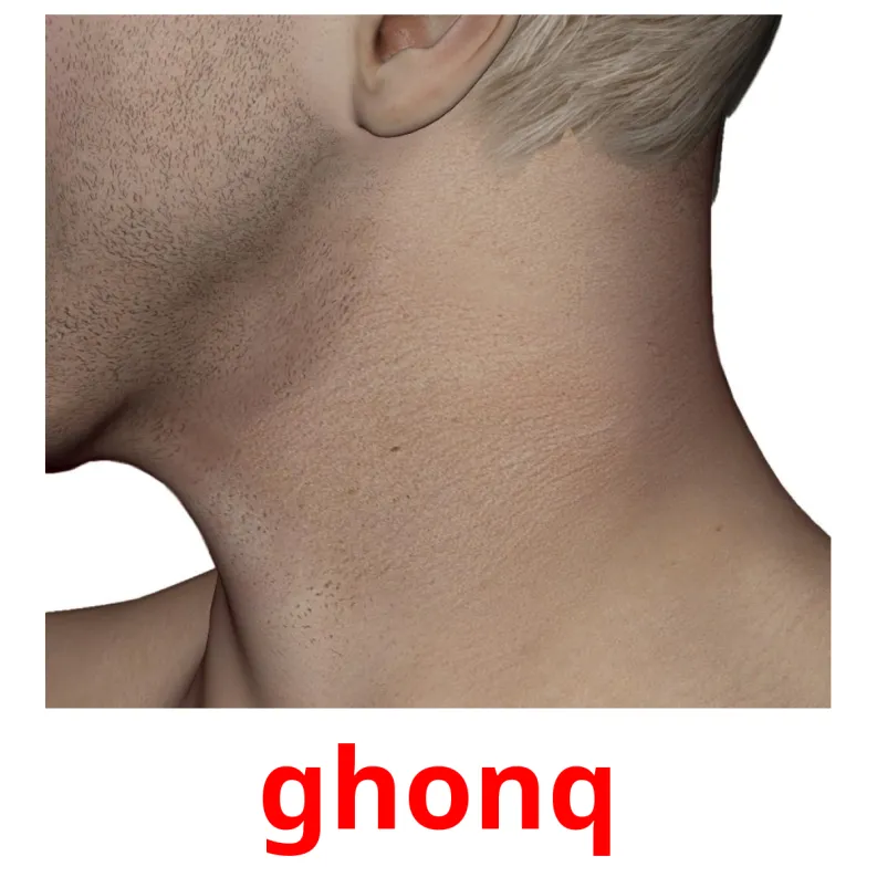 26 FREE Body Parts Flashcards | PDF | Maltese Words