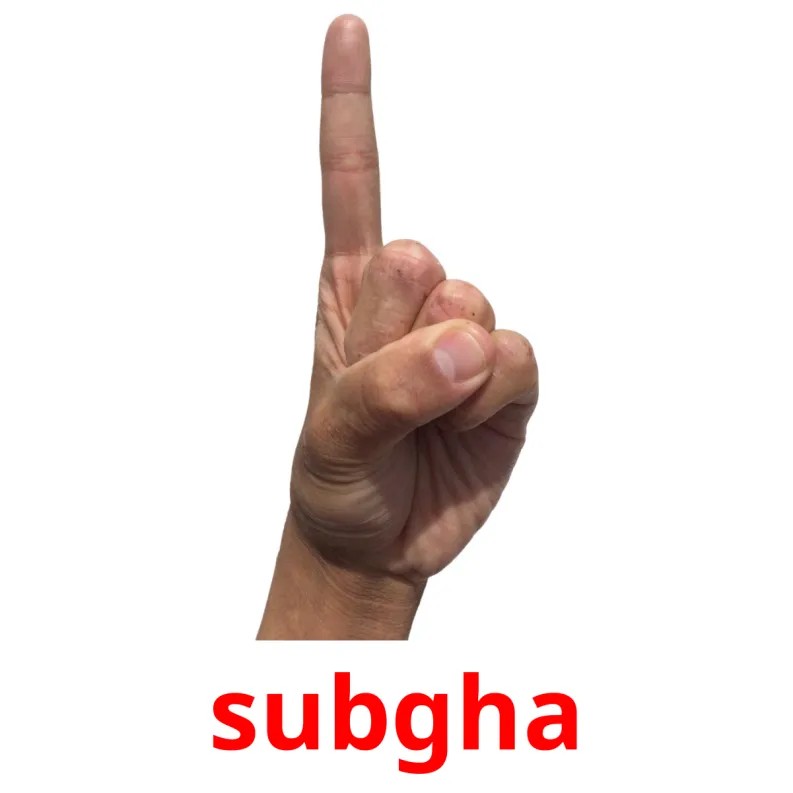 26 FREE Body Parts Flashcards | PDF | Maltese Words