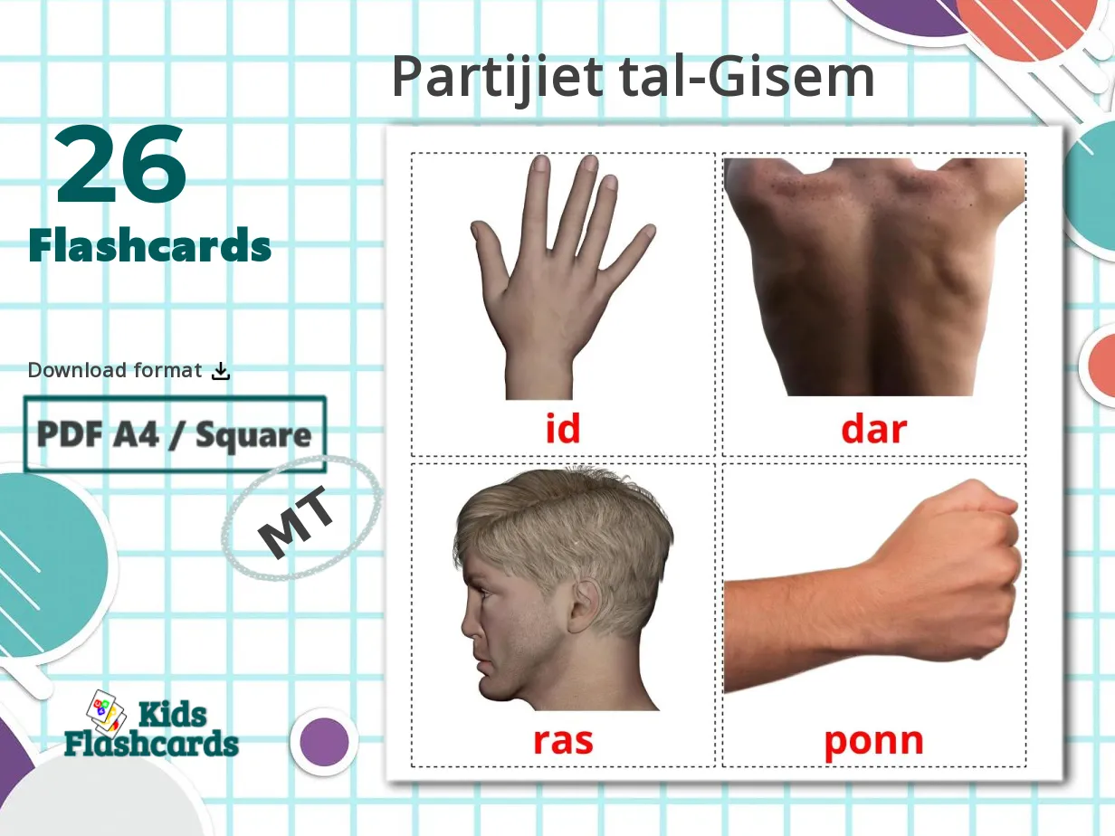 26 Printable Body Parts Flashcards in Maltese (Free PDF)