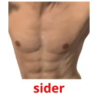 26 FREE Body Parts Flashcards | PDF | Maltese Words