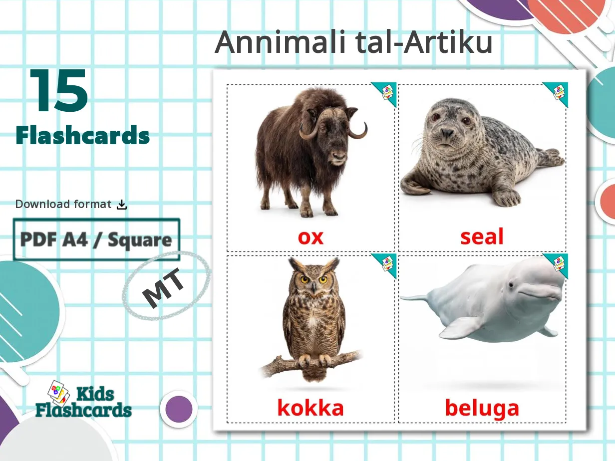 15 Printable Arctic animals Flashcards in Maltese (Free PDF)