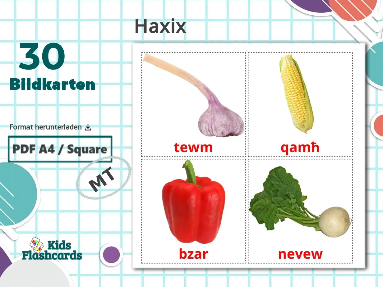 30 Gemüse Karteikarten in PDF | Maltesisch Bilder