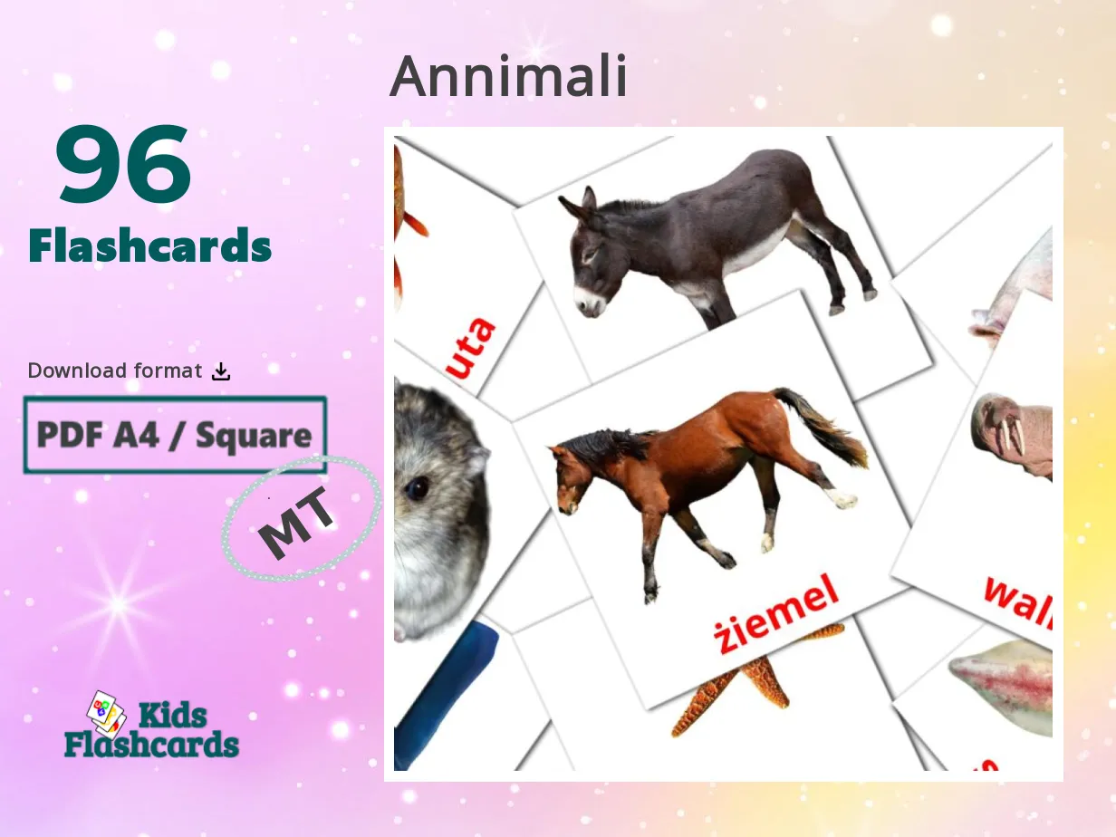 96 FREE Maltese Animals Flashcards | PDF