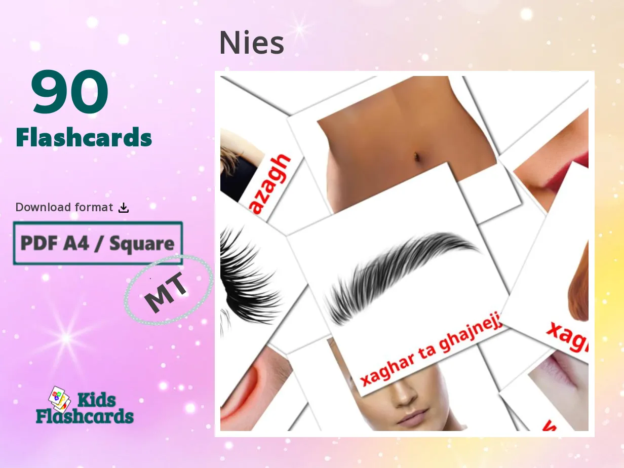 58 FREE Maltese People Flashcards | PDF