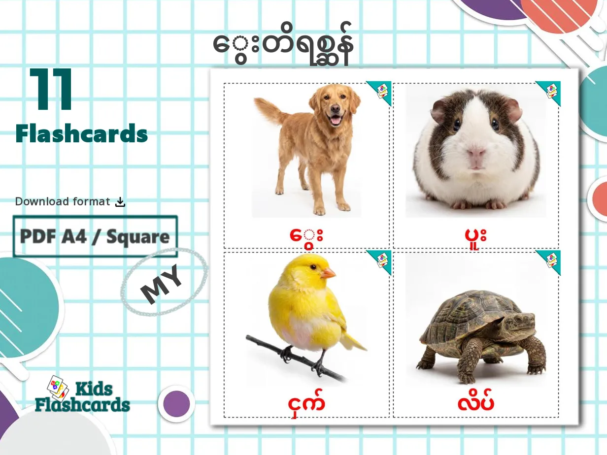 11 Printable Domestic animals Flashcards in Burmese (Free PDF)