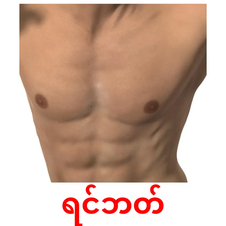 26 FREE Body Parts Flashcards in 4 PDF formats | Burmese Pictures