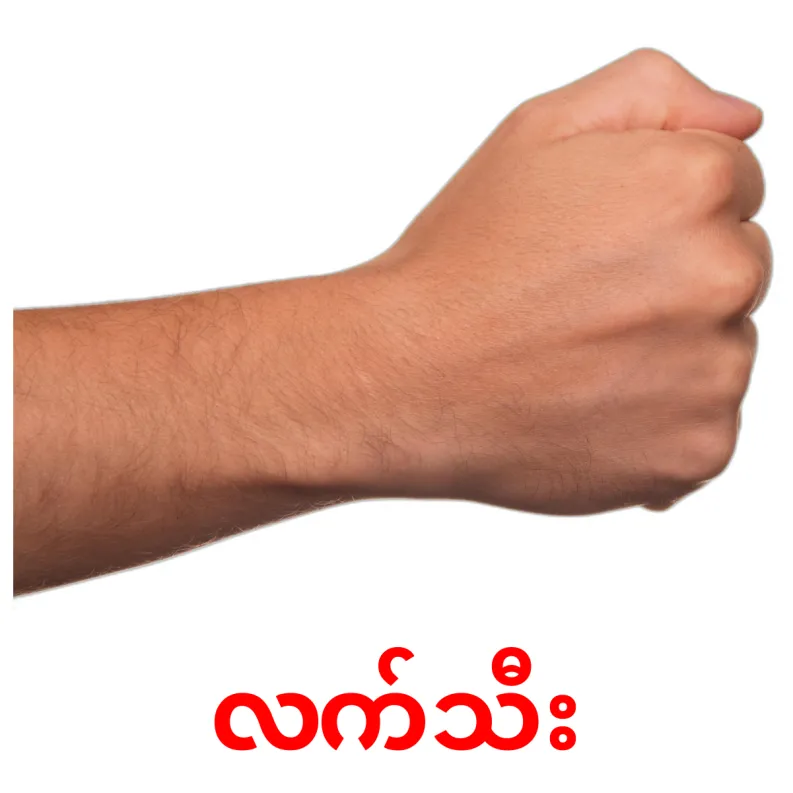 26 FREE Body Parts Flashcards in 4 PDF formats | Burmese Pictures