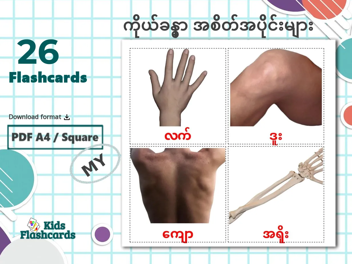 26 Printable Body Parts Flashcards in Burmese (Free PDF)