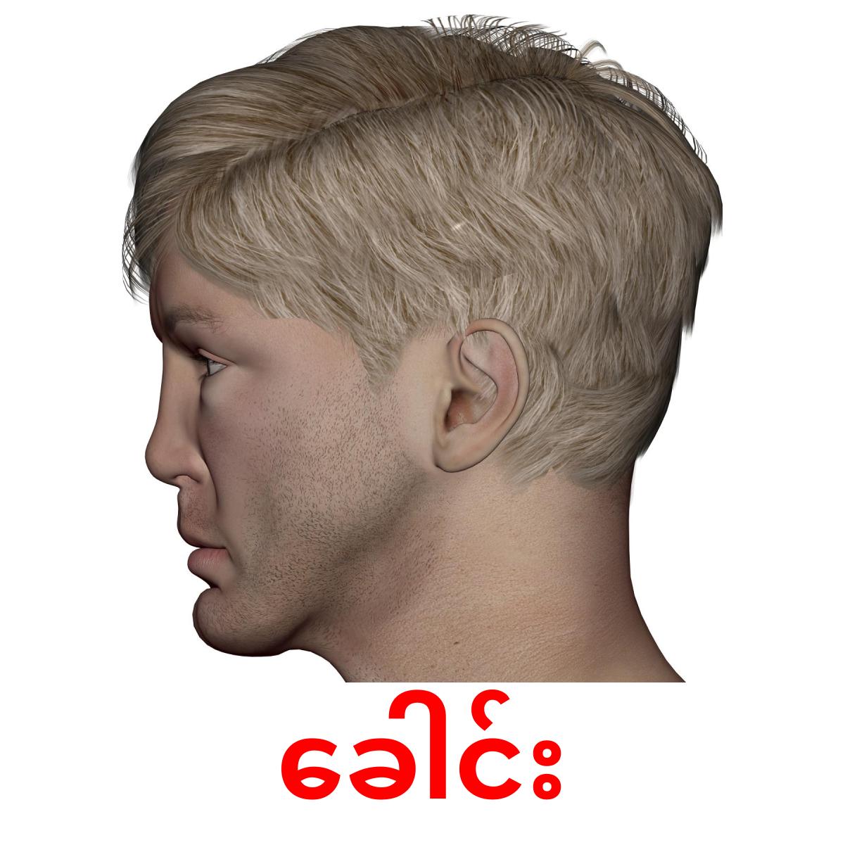 26 Printable Body Parts Flashcards in Burmese (Free PDF)