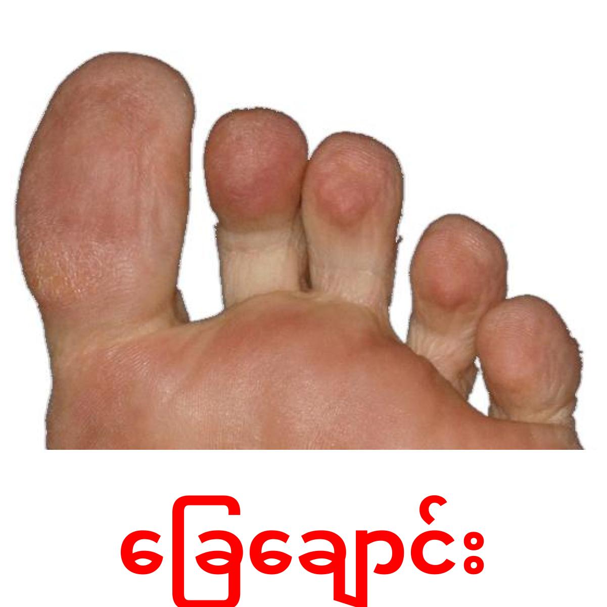 26 FREE Body Parts Flashcards in 4 PDF formats | Burmese Pictures