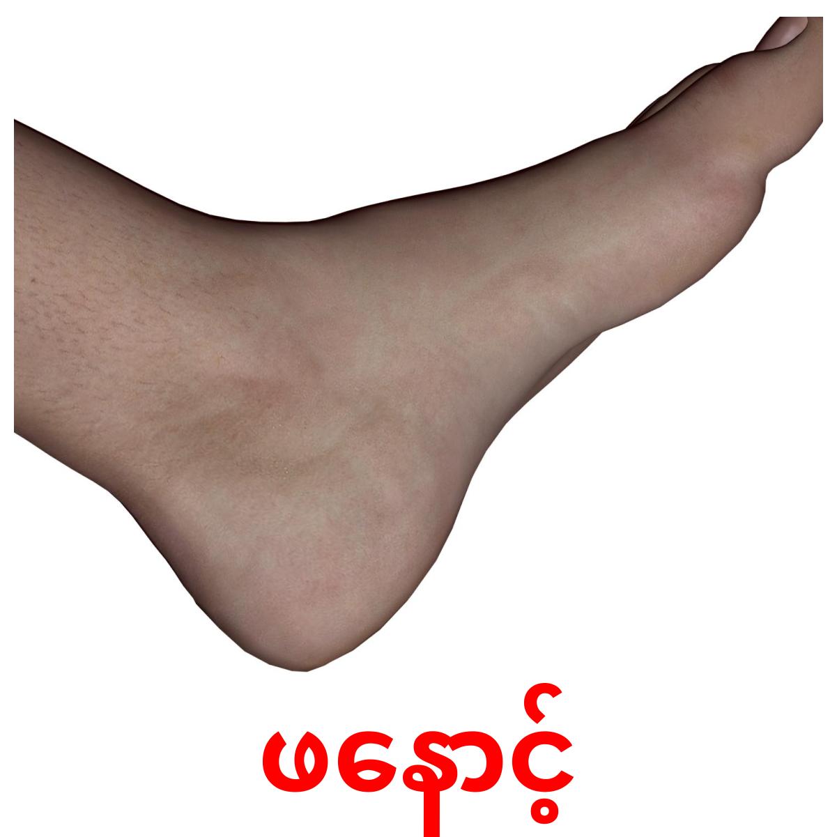26 Printable Body Parts Flashcards in Burmese (Free PDF)