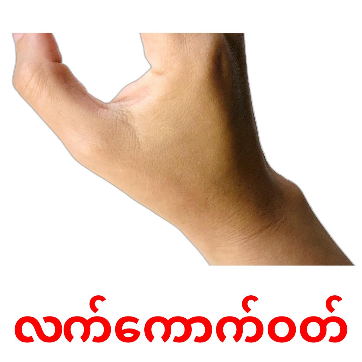 26 Printable Body Parts Flashcards in Burmese (Free PDF)