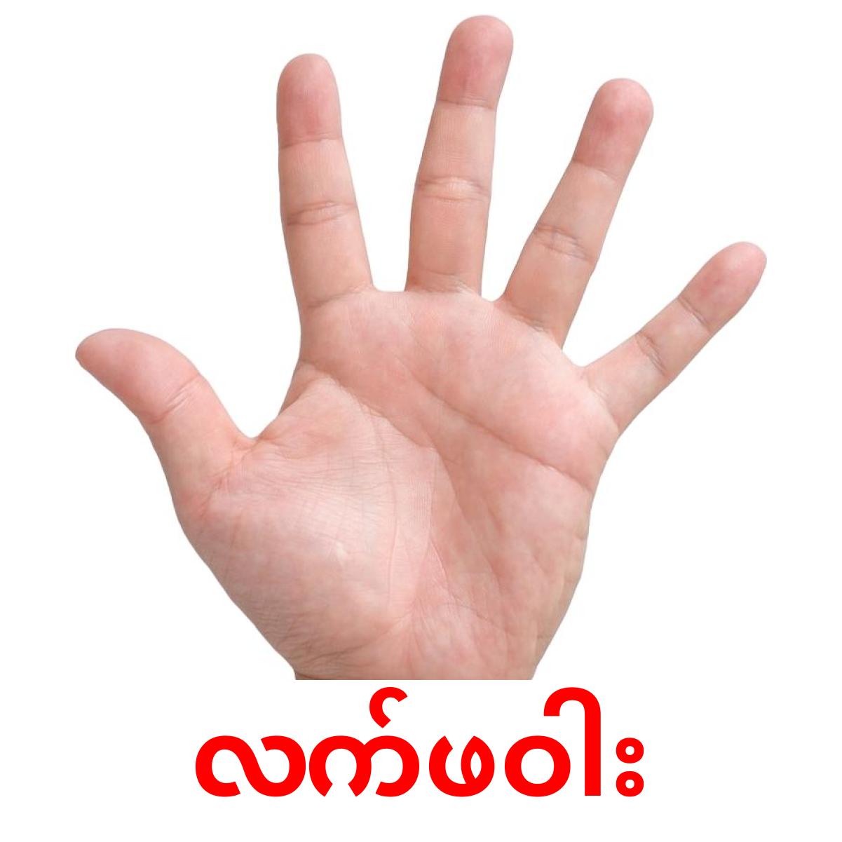 26 Printable Body Parts Flashcards in Burmese (Free PDF)