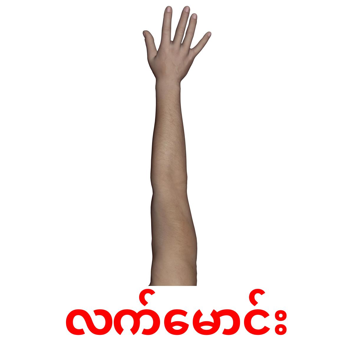 26 Printable Body Parts Flashcards in Burmese (Free PDF)