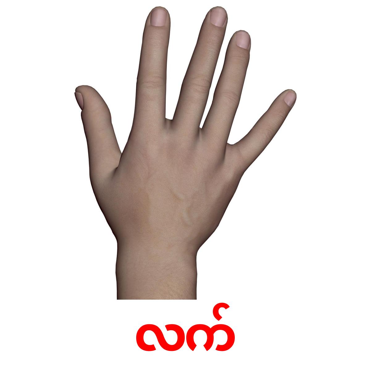 26 Printable Body Parts Flashcards in Burmese (Free PDF)