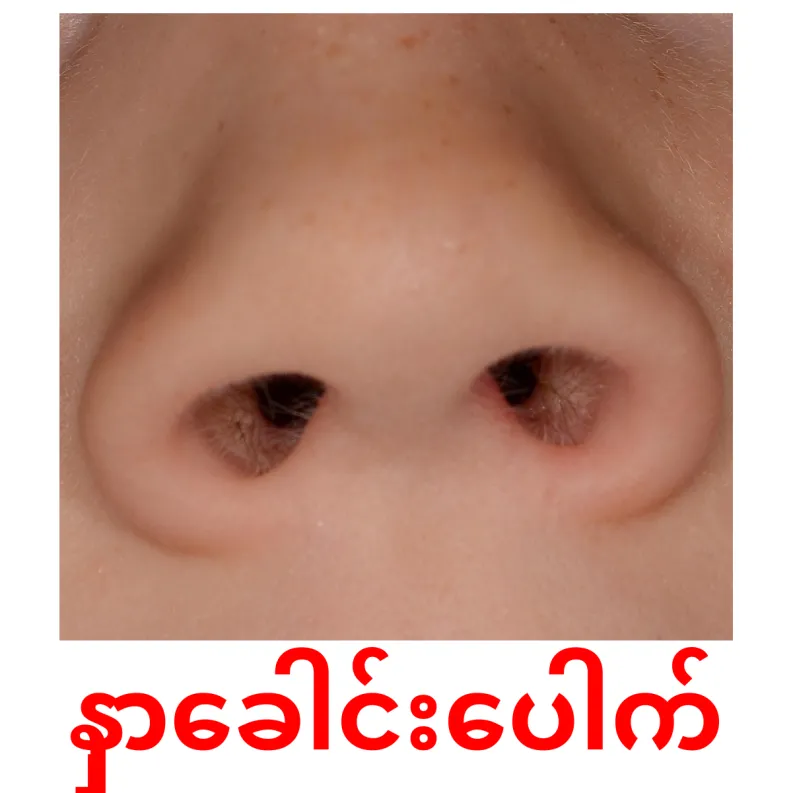 20 FREE Face Flashcards in 4 PDF formats | Burmese Pictures