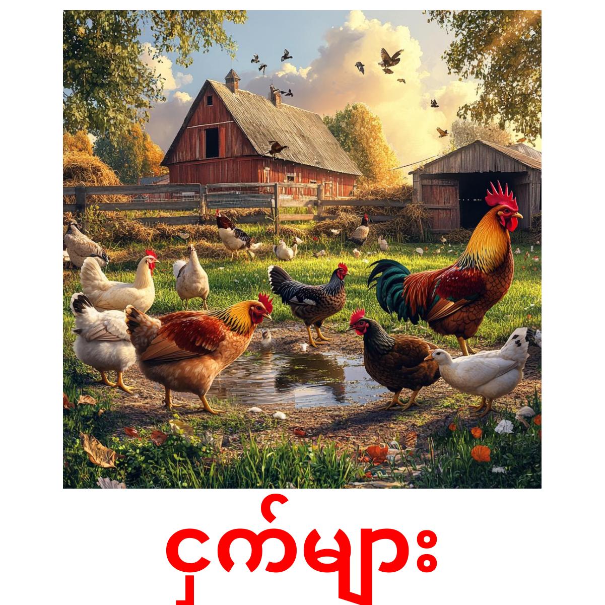 12 Printable Farm birds Flashcards in Burmese (Free PDF)