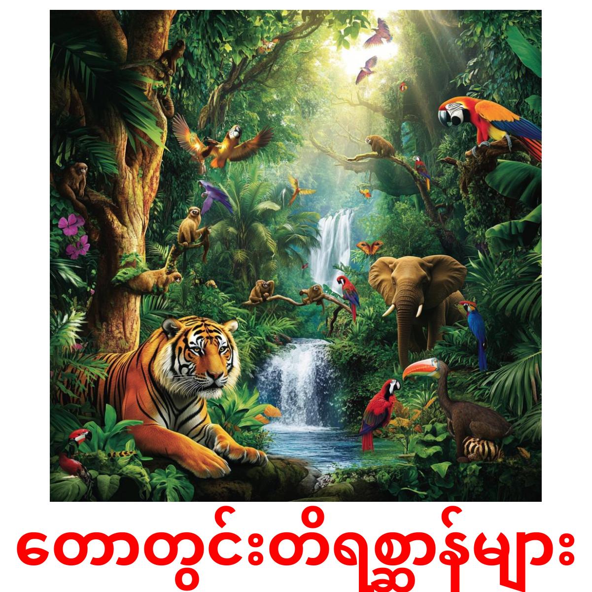 22 FREE Jungle animals Flashcards | PDF | Burmese Words
