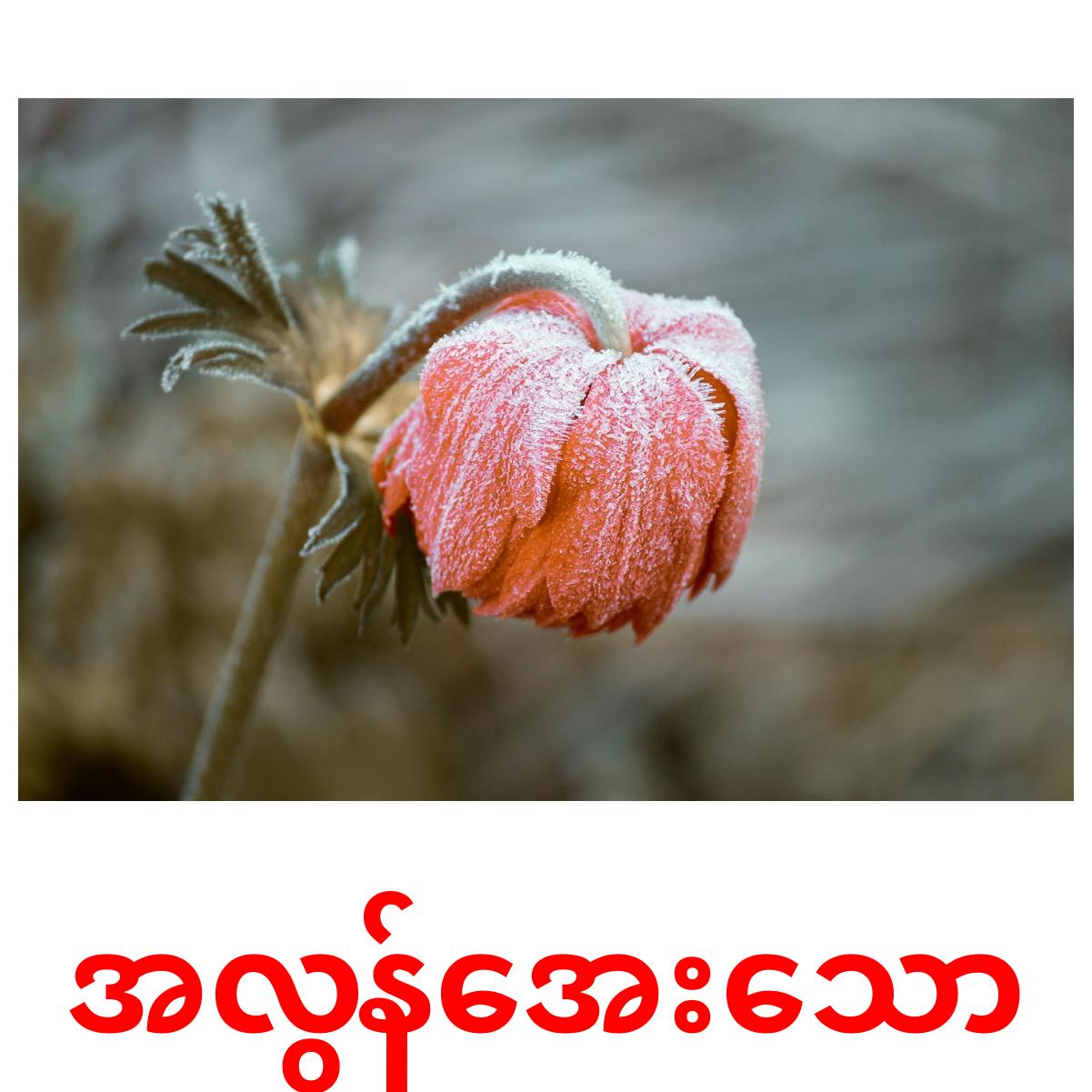 32 Printable Weather Flashcards in Burmese (Free PDF)