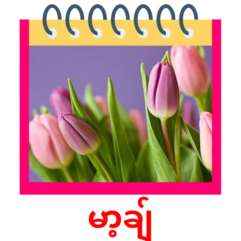 12 FREE Months of the Year Flashcards | PDF | Burmese Words