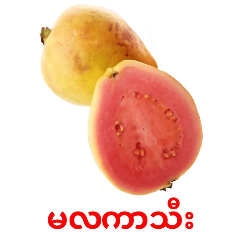 20 FREE Fruits Flashcards | PDF | Burmese Words
