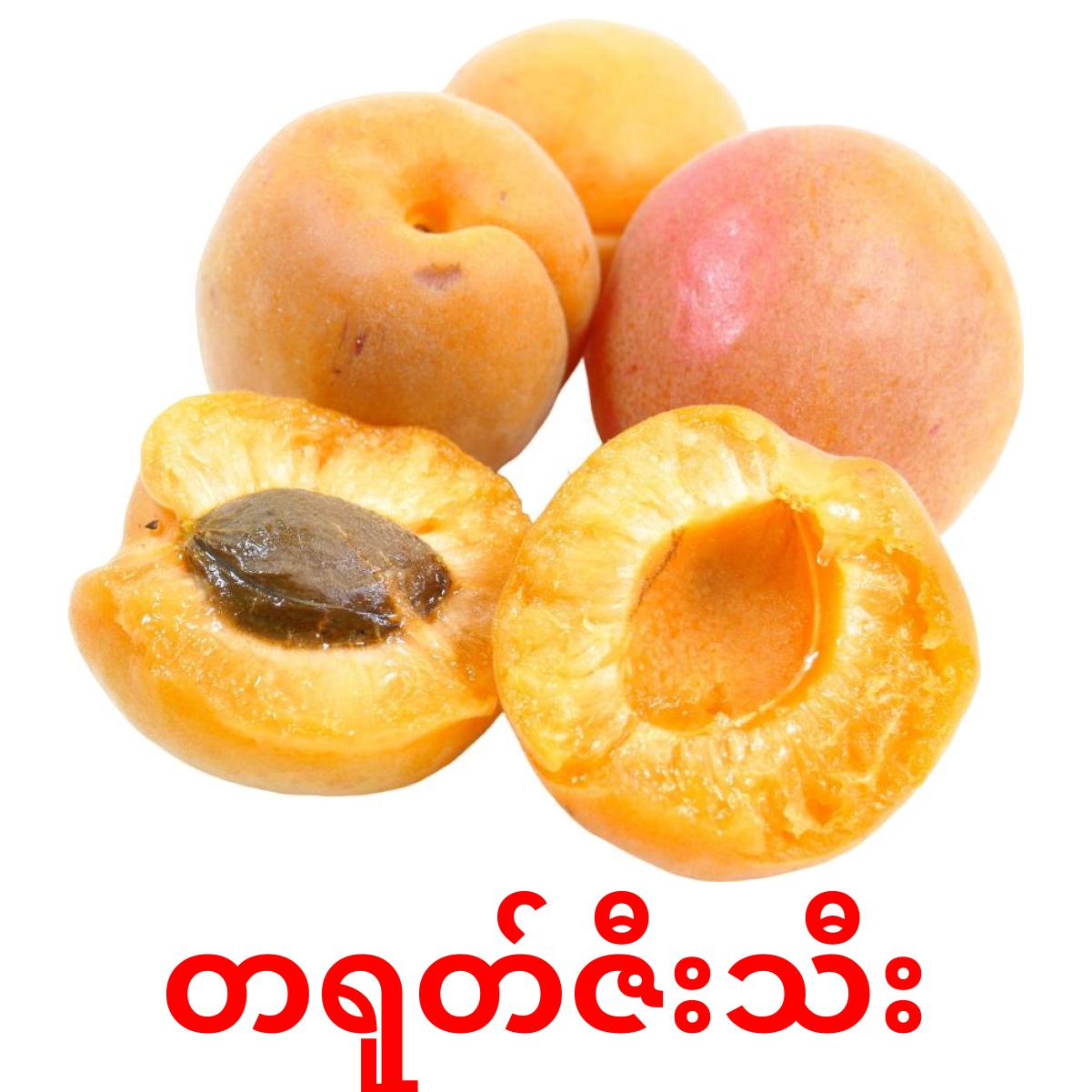 21 Printable Fruits Flashcards in Burmese (Free PDF)
