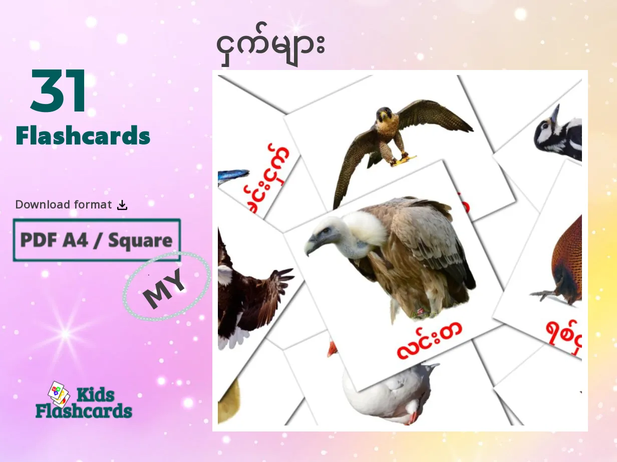 31 FREE Burmese Birds Flashcards | PDF