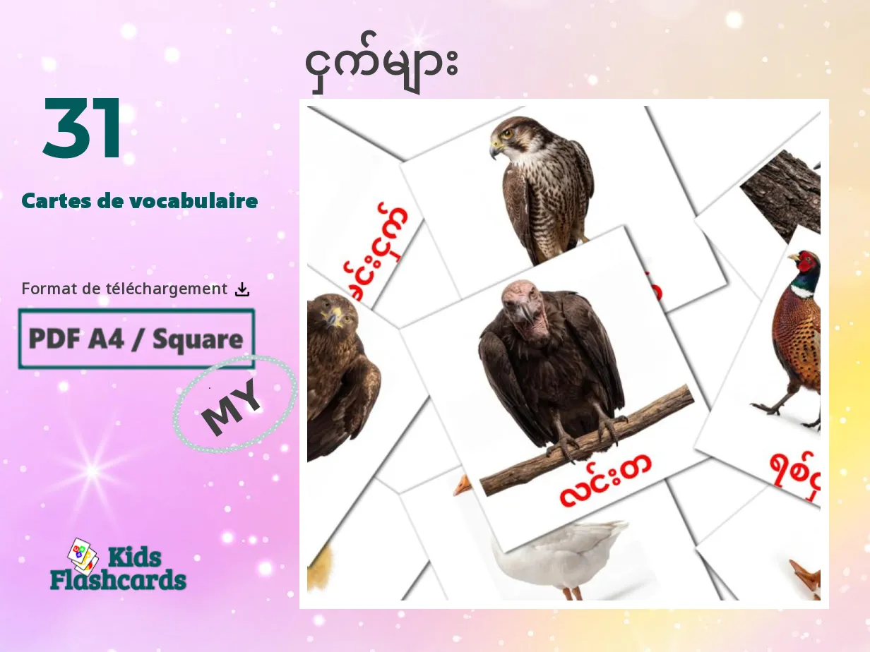 31 Flashcards Oiseaux GRATUIT à imprimer | PDF | Vocabulaire Birman