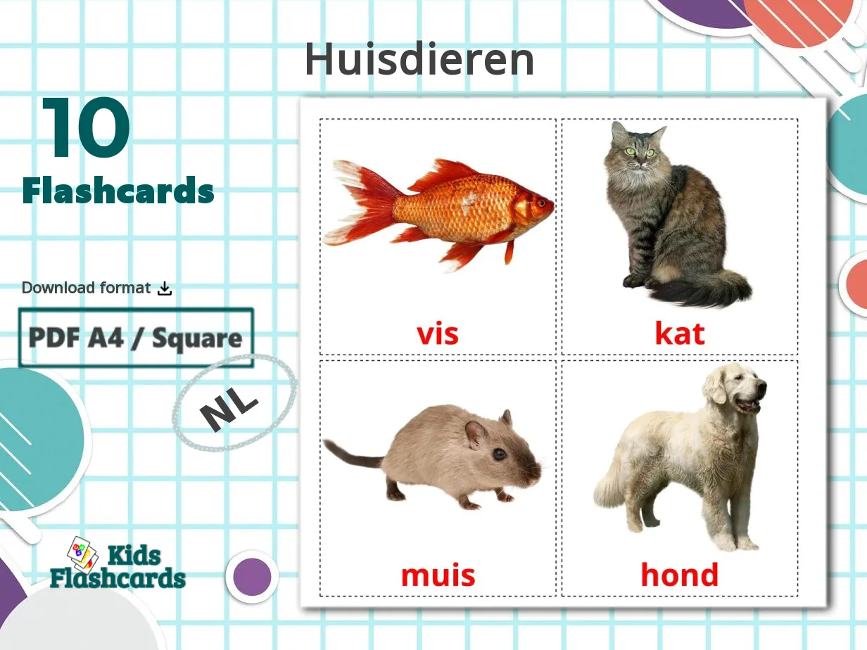 10 Printable Domestic animals Flashcards in Dutch (Free PDF)