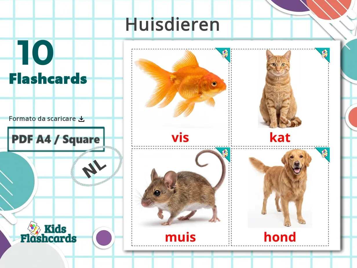 10 Flashcard GRATUITE sui Animali Domestici in 4 Formati PDF | Immagini ...
