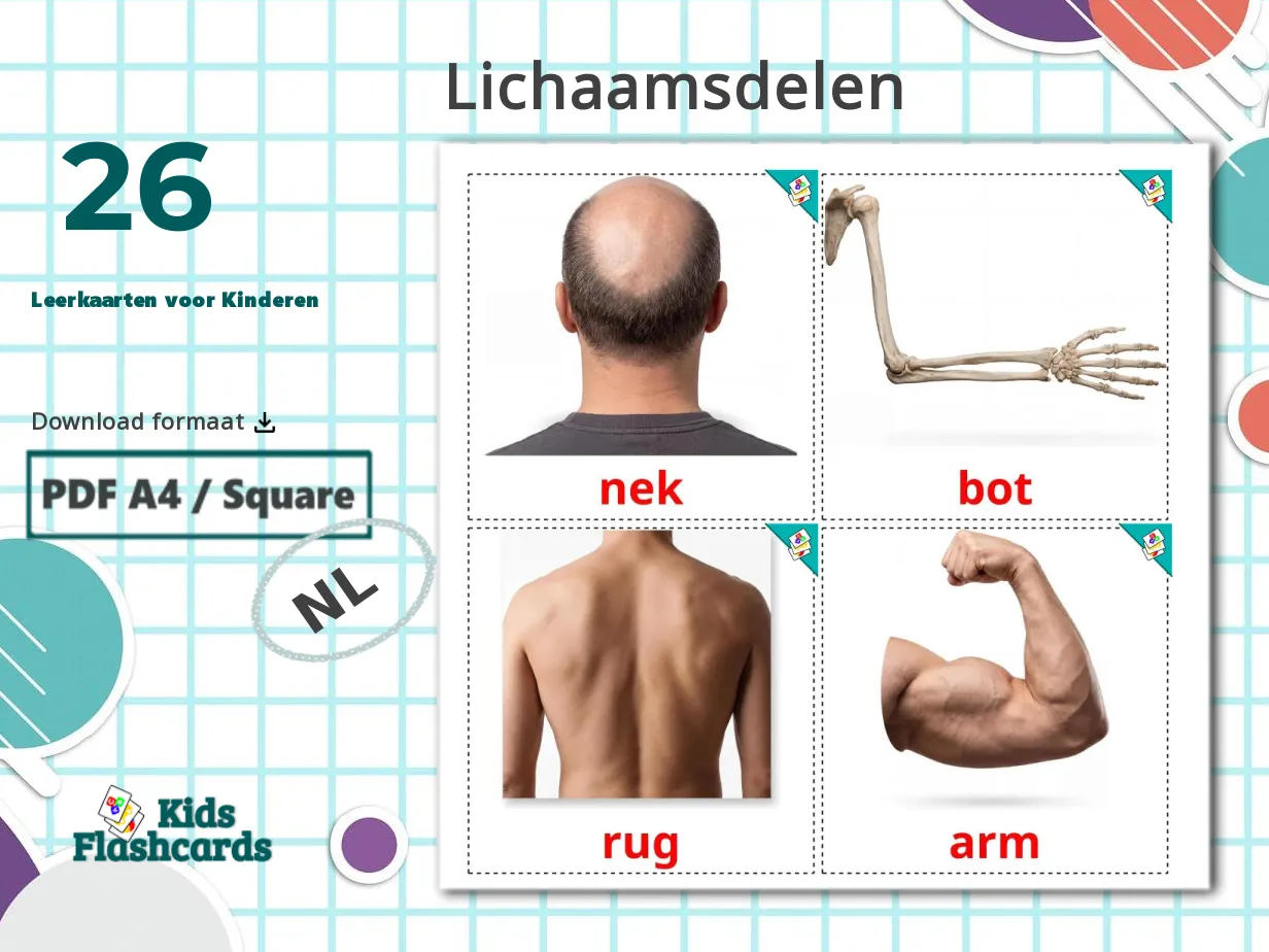 26 GRATIS Lichaamsdelen Leerkaarten voor Kinderen in 4 PDF formaten ...