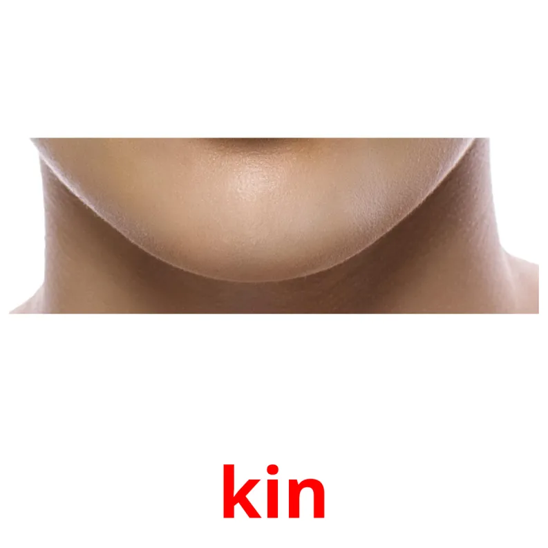 20 FREE Face Flashcards in 4 PDF formats | Dutch Pictures