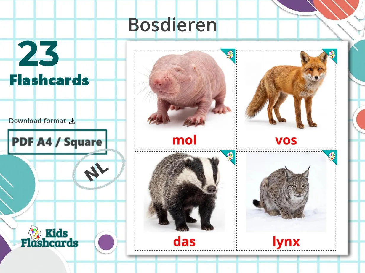 23 Printable Forest animals Flashcards in Dutch (Free PDF)