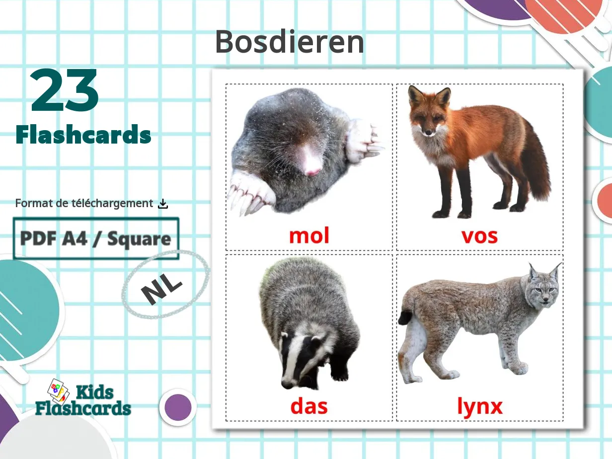 23 Cartes de Vocabulaire pour Enfants GRATUITES Les Animaux de la Forêt ...