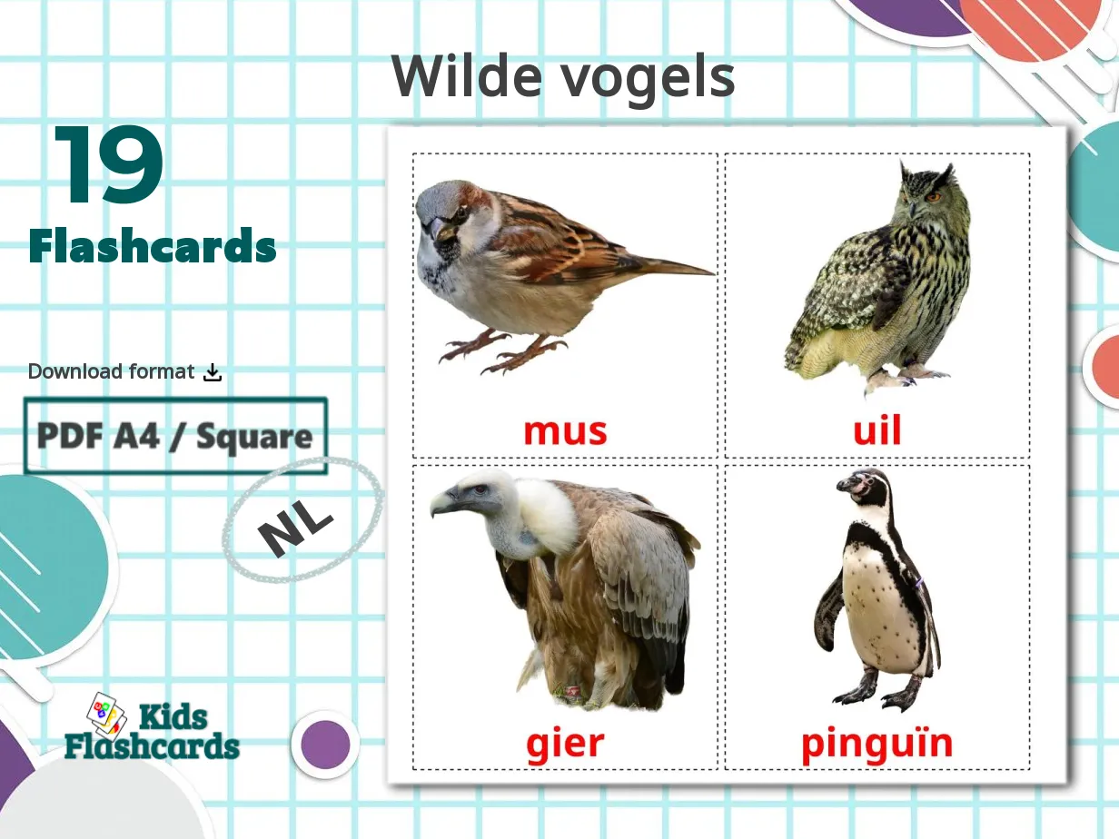 19 Printable Wild birds Flashcards in Dutch (Free PDF)