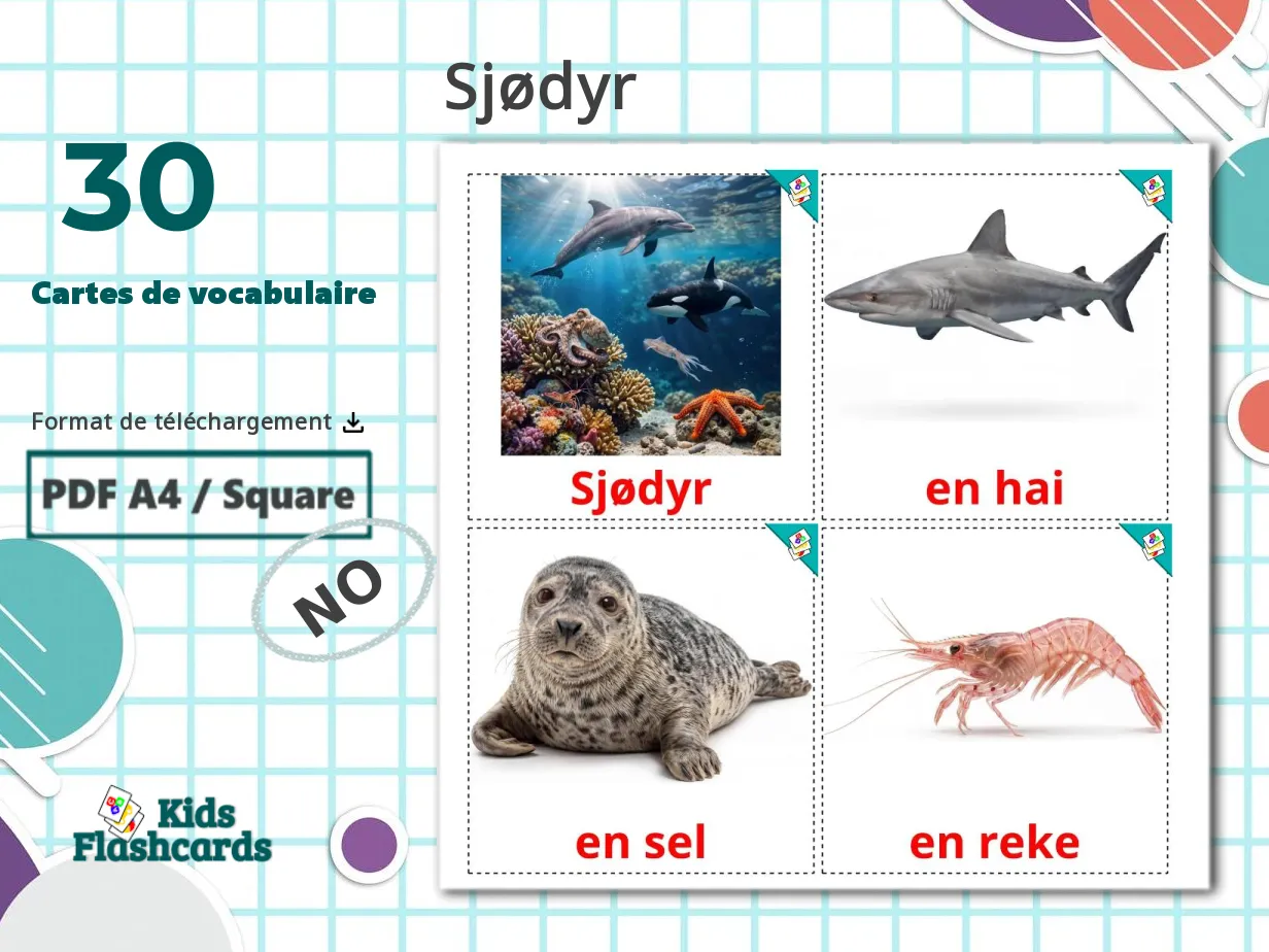 30 Cartes de Vocabulaire pour Enfants GRATUITES Les Animaux Marins à ...