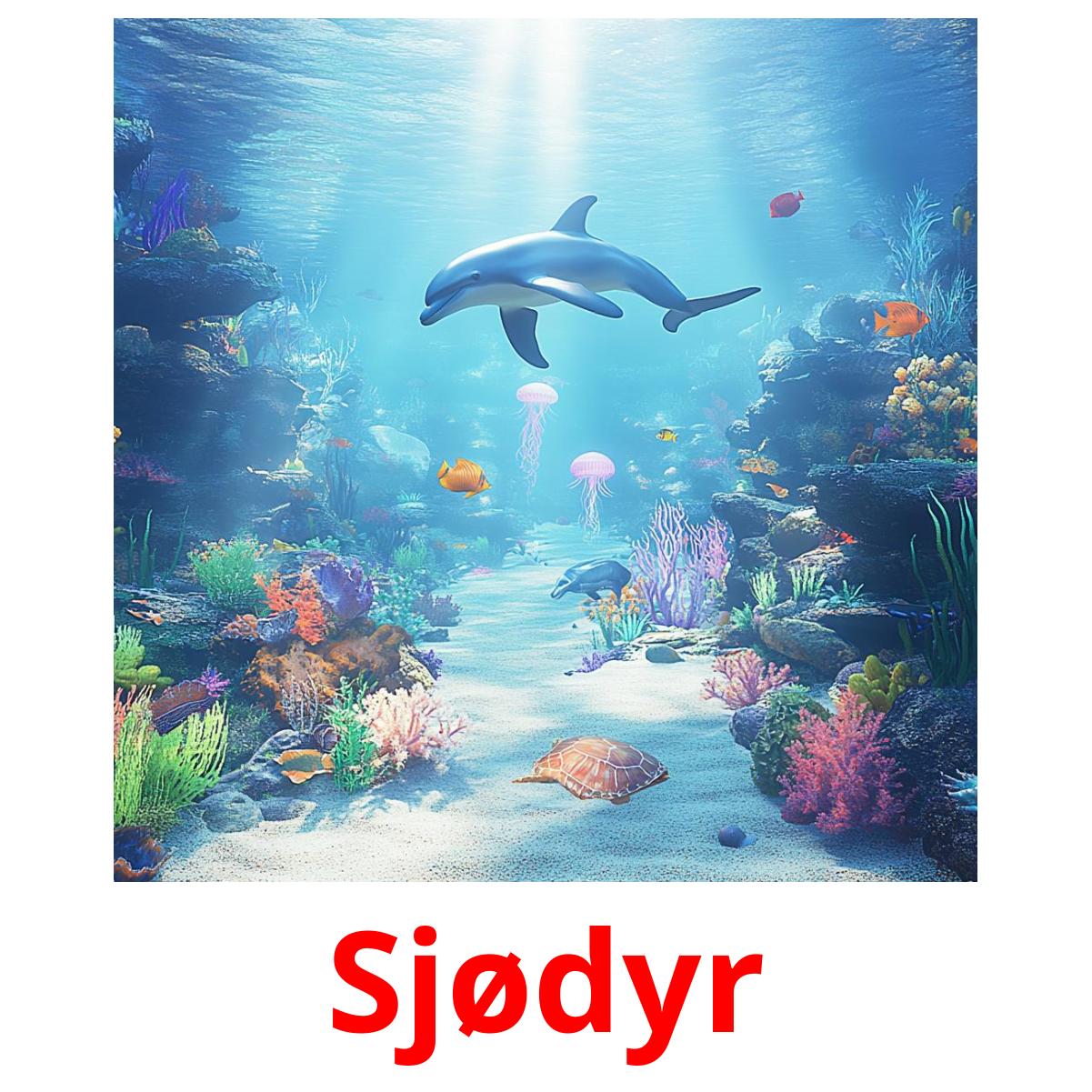 30 Flashcard GRATUITE sui Animali marini in 4 Formati PDF | Immagini in ...