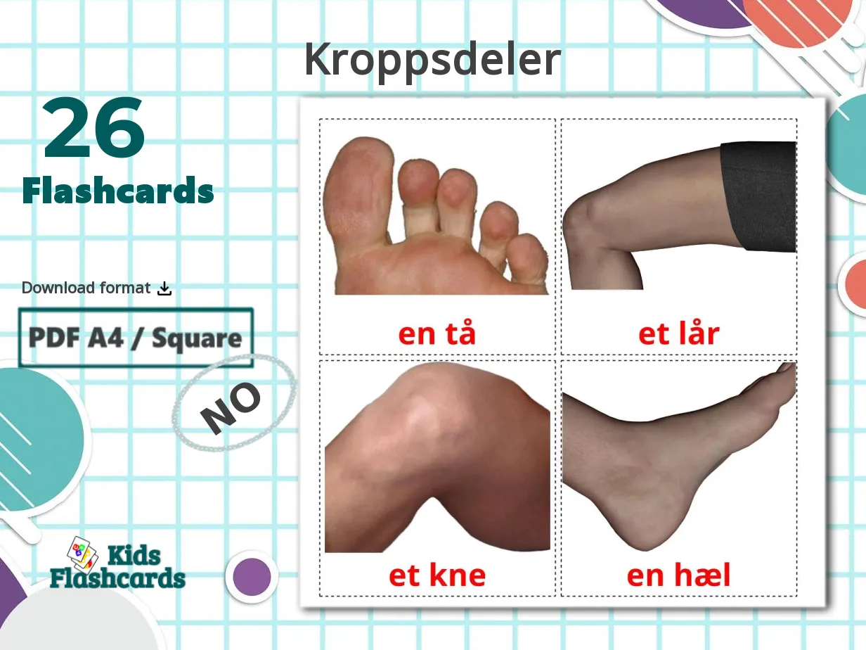 26 Printable Body Parts Flashcards in Norwegian (Free PDF)