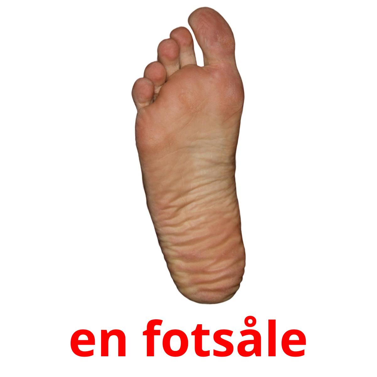 26 GRATIS Kroppsdeler bildekort i 4 PDF-formater | bilder på Norsk