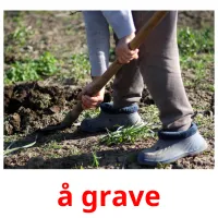 52 Printable Action verbs Flashcards in Norwegian (Free PDF)