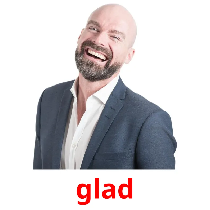 74 FREE Opposites Flashcards in 4 PDF formats | Norwegian Pictures