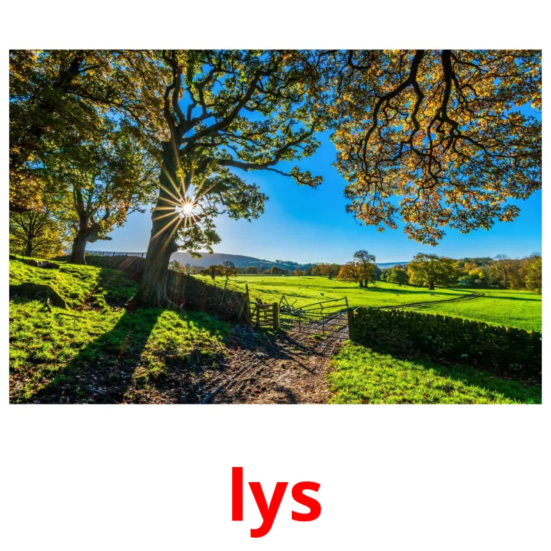 72 FREE Opposites Flashcards | PDF | Norwegian Words