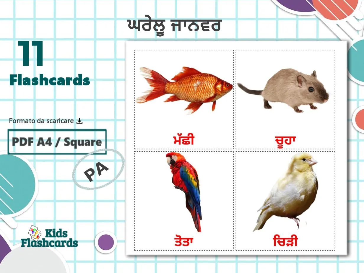 11 Flashcard GRATUITE sui Animali Domestici in 4 Formati PDF | Immagini ...