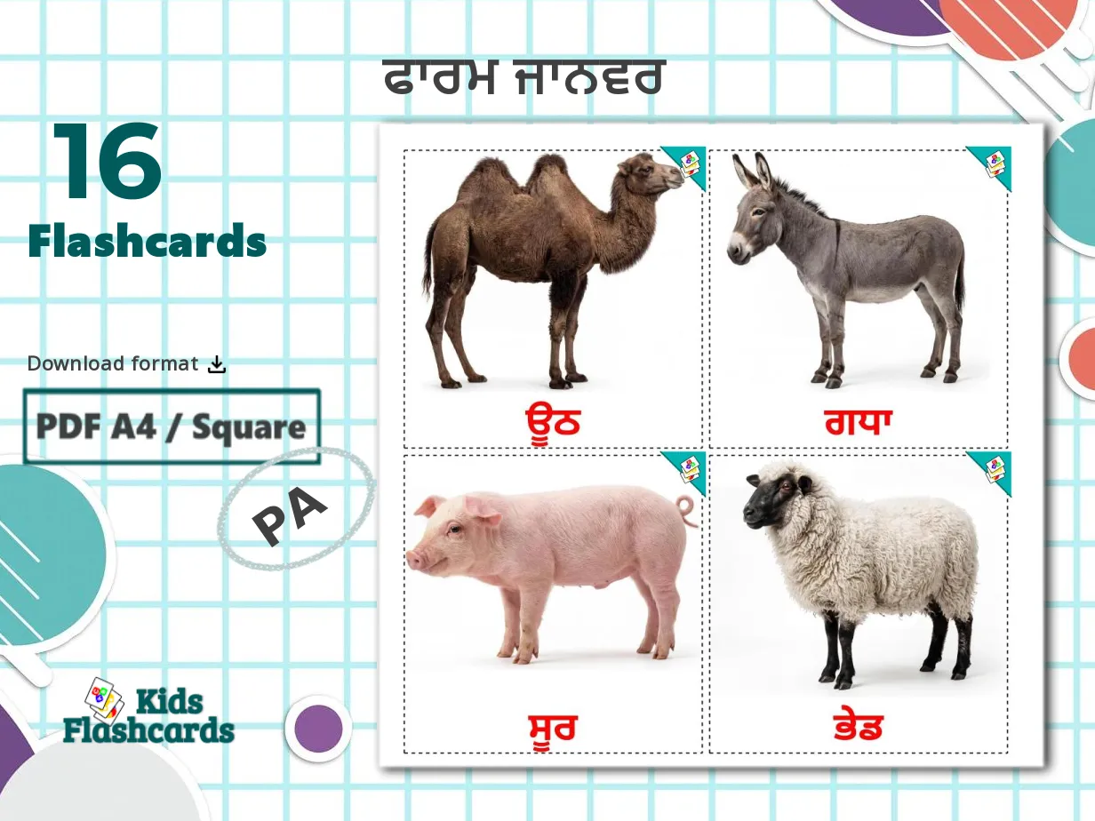 16 Printable Farm animals Flashcards in Punjabi(Gurmukhi) (Free PDF)