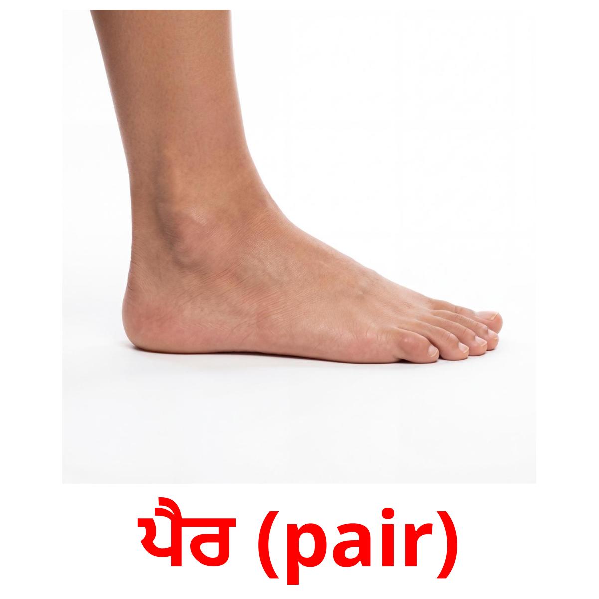 26 Printable Body Parts Flashcards in Punjabi(Gurmukhi) (Free PDF)