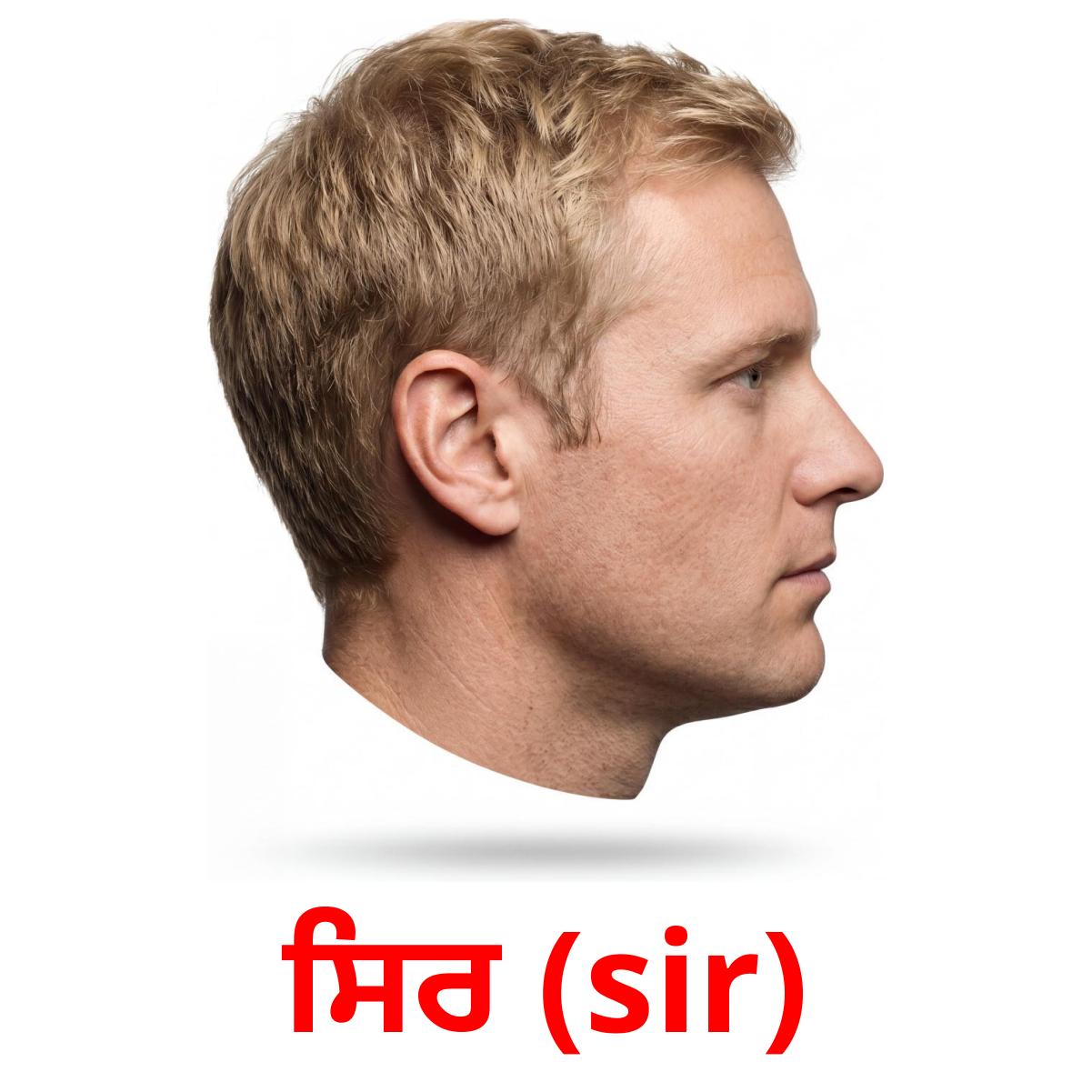 26 Printable Body Parts Flashcards in Punjabi(Gurmukhi) (Free PDF)