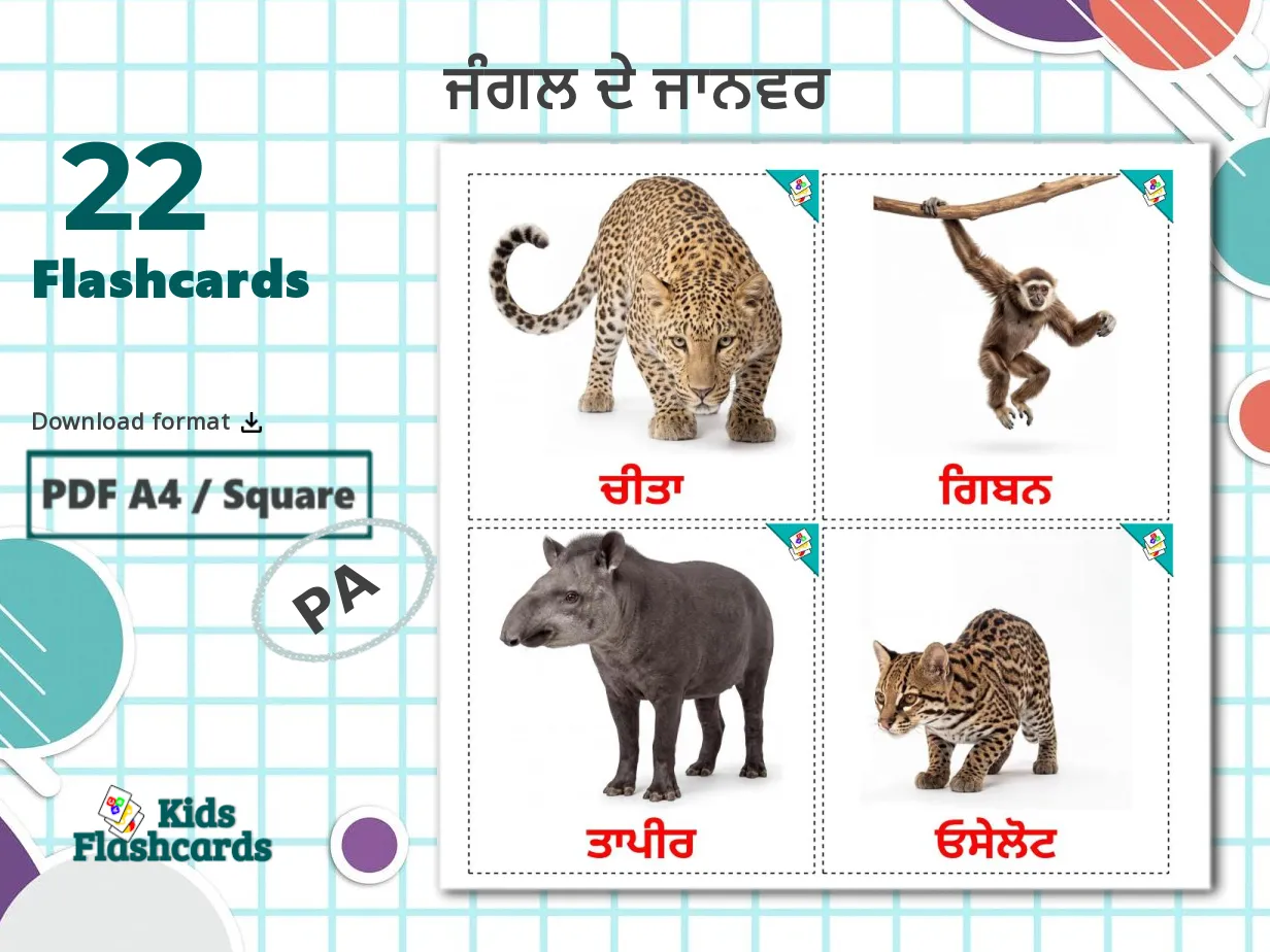 22 Printable Jungle animals Flashcards in Punjabi(Gurmukhi) (Free PDF)
